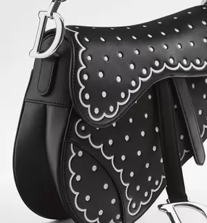 Dior Saddle Bag With Strap