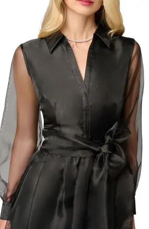 Adrianna Papell Organza Long Sleeve Gown