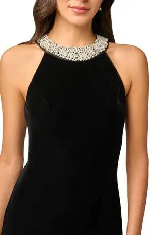 Adrianna Papell Beaded Neck Sleeveless Velvet Gown