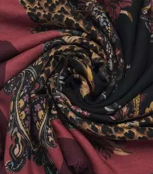 Etro Wool-silk Paisley Aida Shawl