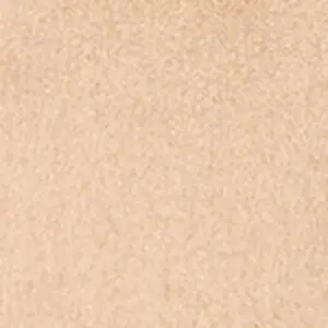 Max Mara Camel Wool Down-filled Jacket