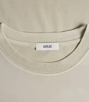 AGOLDE Cotton Portman T-shirt