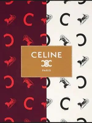 Celine Printed Silk Foulard - Multicolor