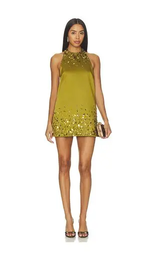 Retrofete Tobonie Embroidered Dress In Green