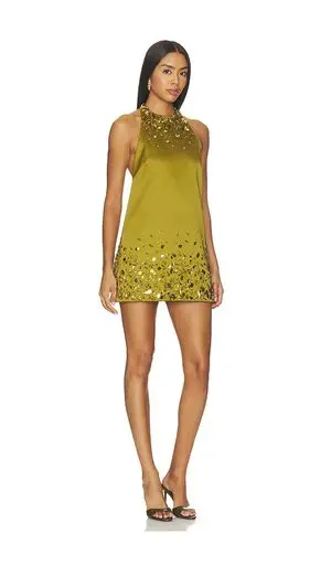 Retrofete Tobonie Embroidered Dress In Green