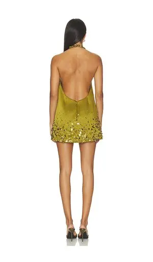 Retrofete Tobonie Embroidered Dress In Green