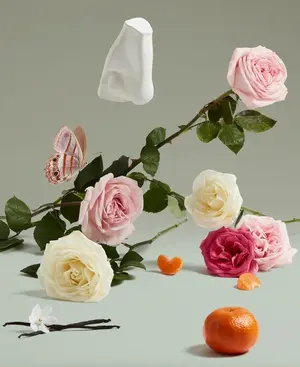 PENHALIGON'S The Coveted Duchess Rose Eau De Parfum Spray