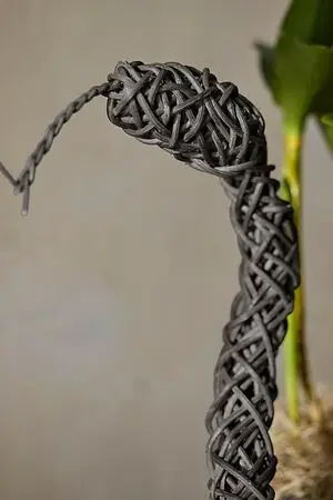 TERRAIN Rattan Ve Coiled Snake