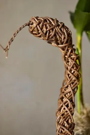 TERRAIN Rattan Ve Coiled Snake