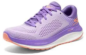 Sketchers Go Run Persistence