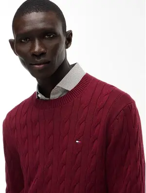 Tommy Hilfiger Cable Knit Crewneck Sweater