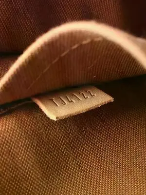 LOUIS VUITTON Monogram Sologne Crossbody Bag
