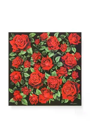 Dolce & Gabbana 70x70 Rose-print Silk Twill Scarf - Black