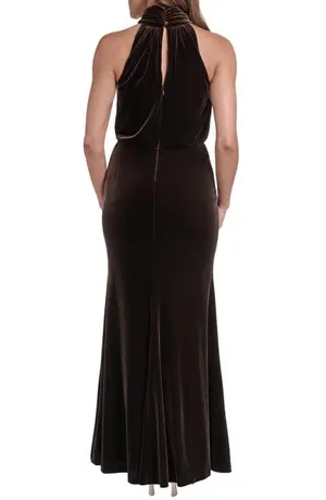 Eliza J Sleeveless Velvet Gown