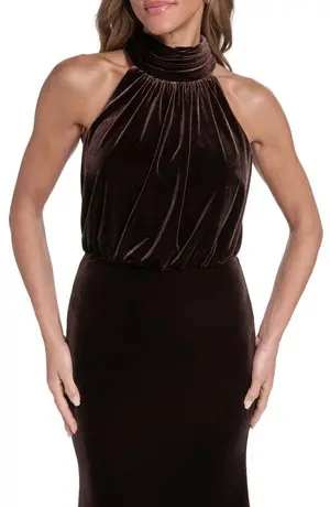 Eliza J Sleeveless Velvet Gown