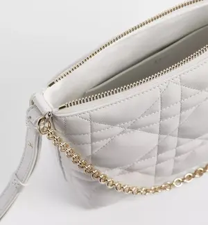 Dior Diorling Mini Bag
