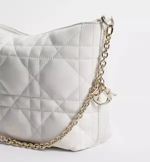 Dior Diorling Mini Bag
