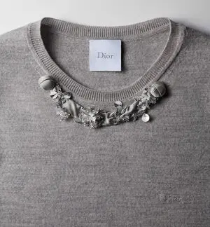 Dior Short-sleeved Embroidered Sweater