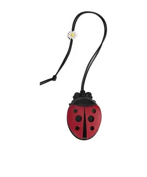 Dior Jardin Ladybug Coin Purse With Cord