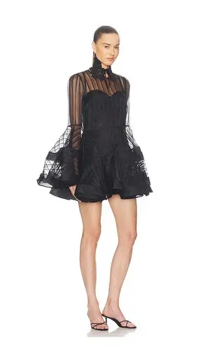 Zimmermann Valiant Lantern Mini Dress