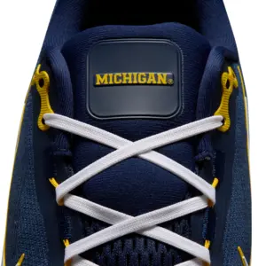 Nike College Vomero 18 Road Running Shoes - Blue
