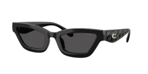 COACH Sunglasses