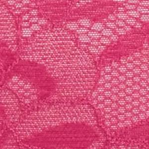 Chantelle Lace Origins Tanga Briefs