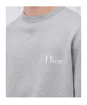 Dior Sweatshirt With Embroidery, Relaxed Fit - Gray