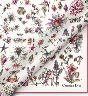 Dior Cabinet De Curiosités 70 Square Scarf - White