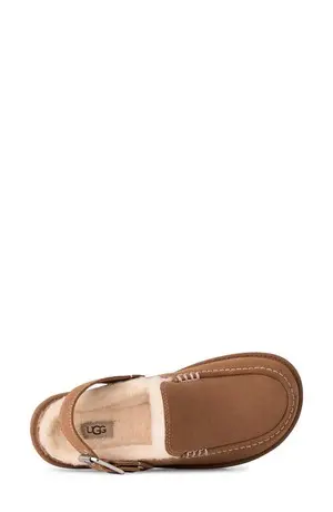 UGG Goldenstar Evelina Clog - Chestnut