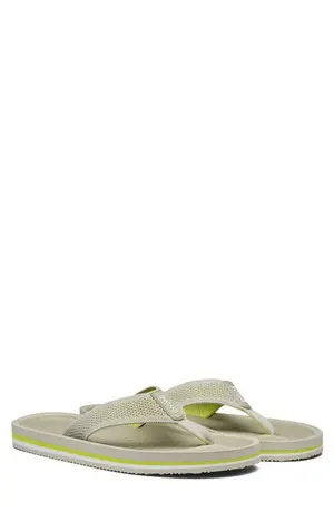 Swims Breeze Flip Flop Mist/citron