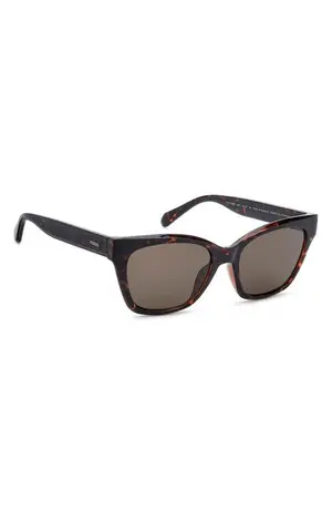 Fossil 53mm Cat Eye Sunglasses - Havana/brown