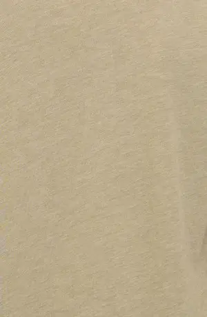 PROJECT SOCIAL T Canyon V-neck T-shirt - Olive