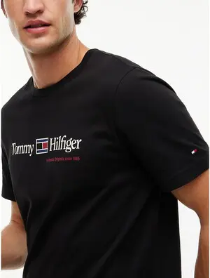 Tommy Hilfiger Hilfiger Flag Logo T-shirt