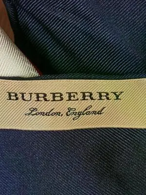 Burberry 1198046 Blue