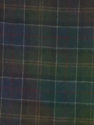 Barbour Shadow Classic Tartan Fringed Scarf