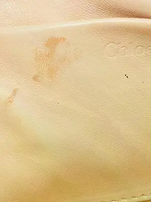 Chloé Elsie Shoulder Bag