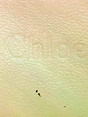 Chloé Elsie Shoulder Bag