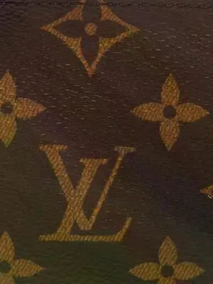 LOUIS VUITTON Noa Monogram Canvas Wallet