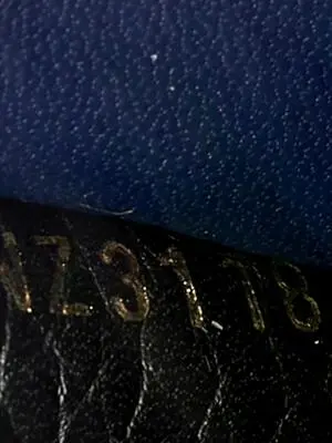 LOUIS VUITTON 2018 Capucines Studded Wallet