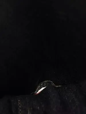 Carolina Herrera Logo-detail Wallet