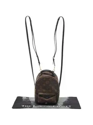 LOUIS VUITTON 2020 Mini Palm Springs Monogram Backpack - Brown