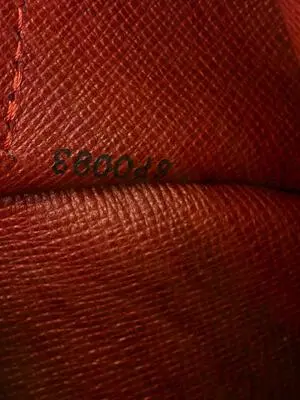 LOUIS VUITTON Papillon Damier Ebene Tote Bag