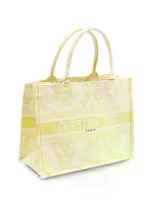 Dior 2024 De Jouy Soleil Book Tote Bag