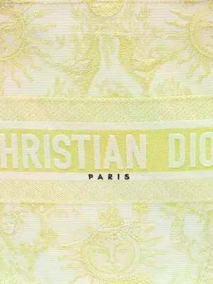 Dior 2024 De Jouy Soleil Book Tote Bag