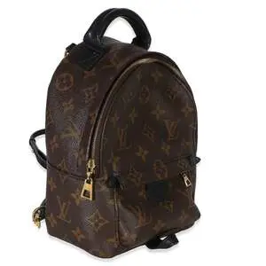 LOUIS VUITTON Monogram Canvas Palm Springs - Brown