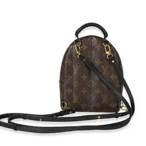 LOUIS VUITTON Monogram Canvas Palm Springs - Brown