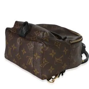 LOUIS VUITTON Monogram Canvas Palm Springs - Brown