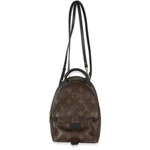 LOUIS VUITTON Monogram Canvas Palm Springs - Brown