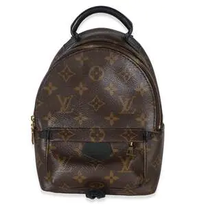 LOUIS VUITTON Monogram Canvas Palm Springs - Brown